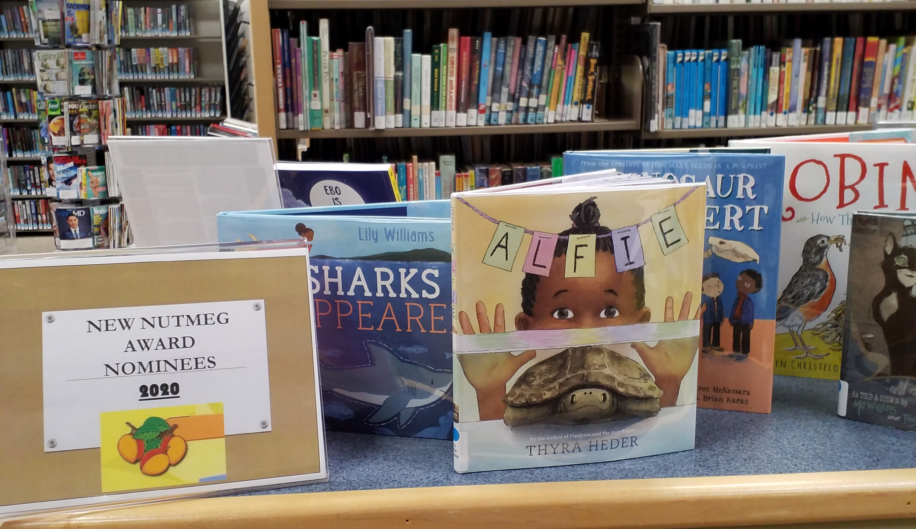 Library Policies - Morris Public Library